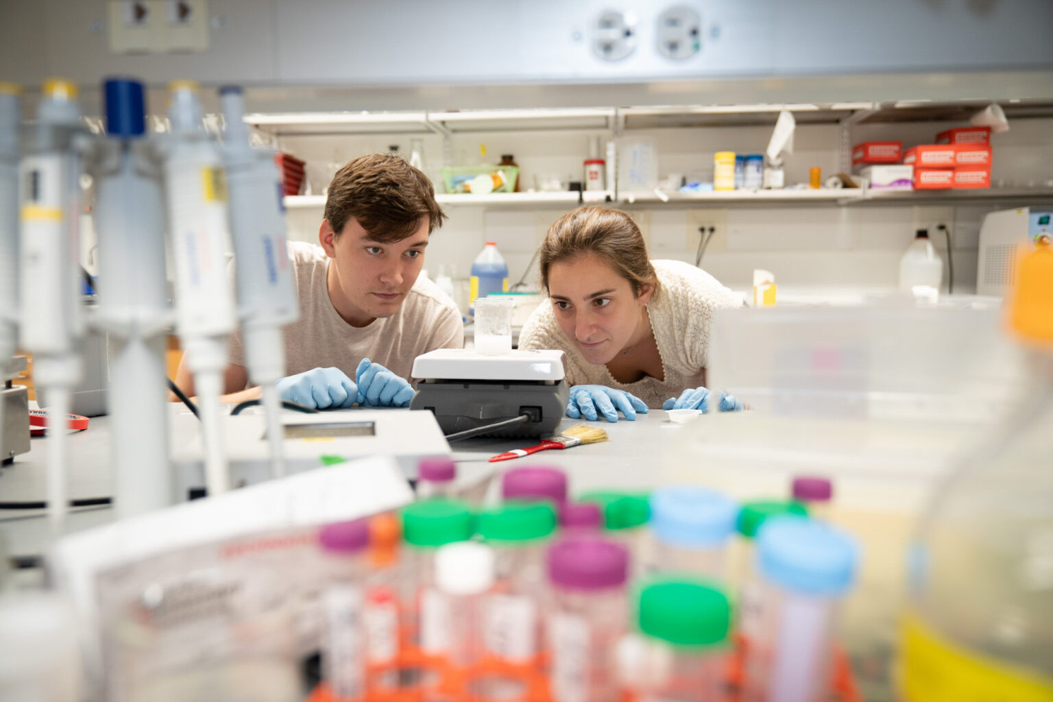Bachelor of Science in Biomedical Engineering | Meinig School of ...