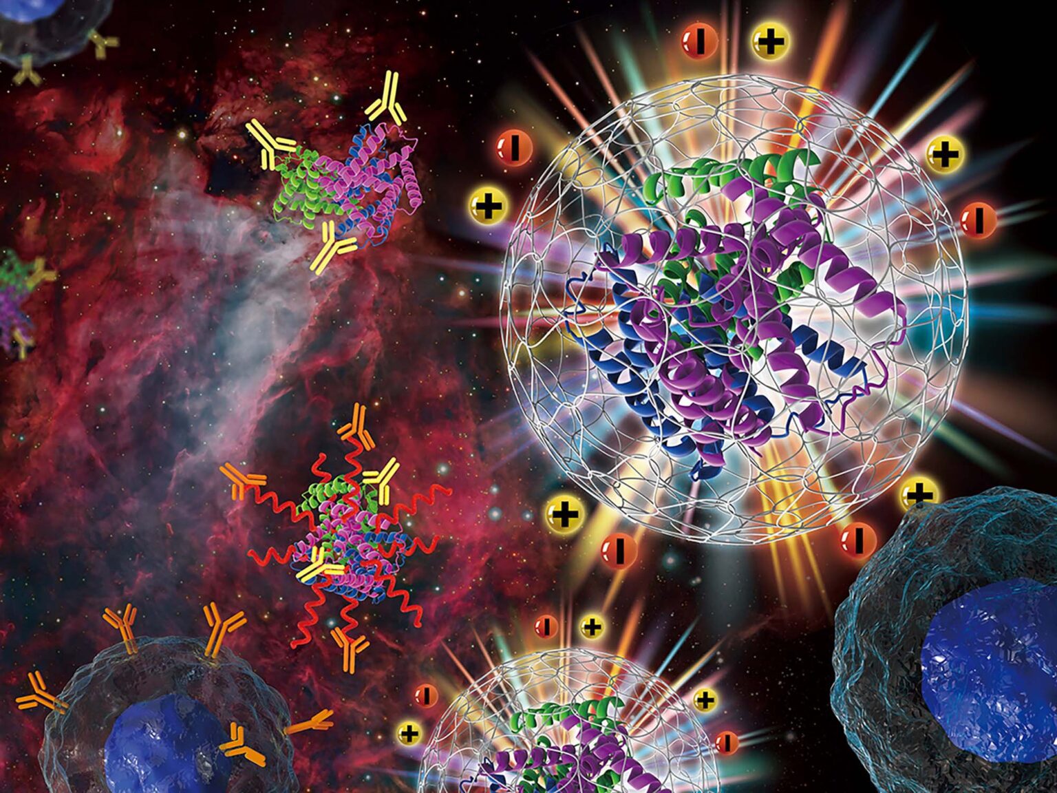 Research Groups | Meinig School of Biomedical Engineering