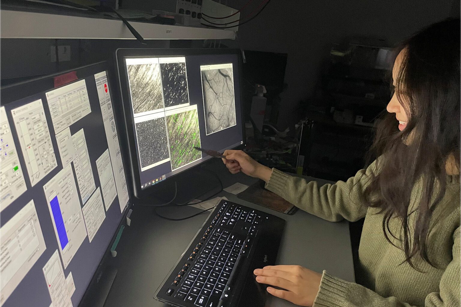 Major in Biomedical Engineering | Meinig School of Biomedical Engineering