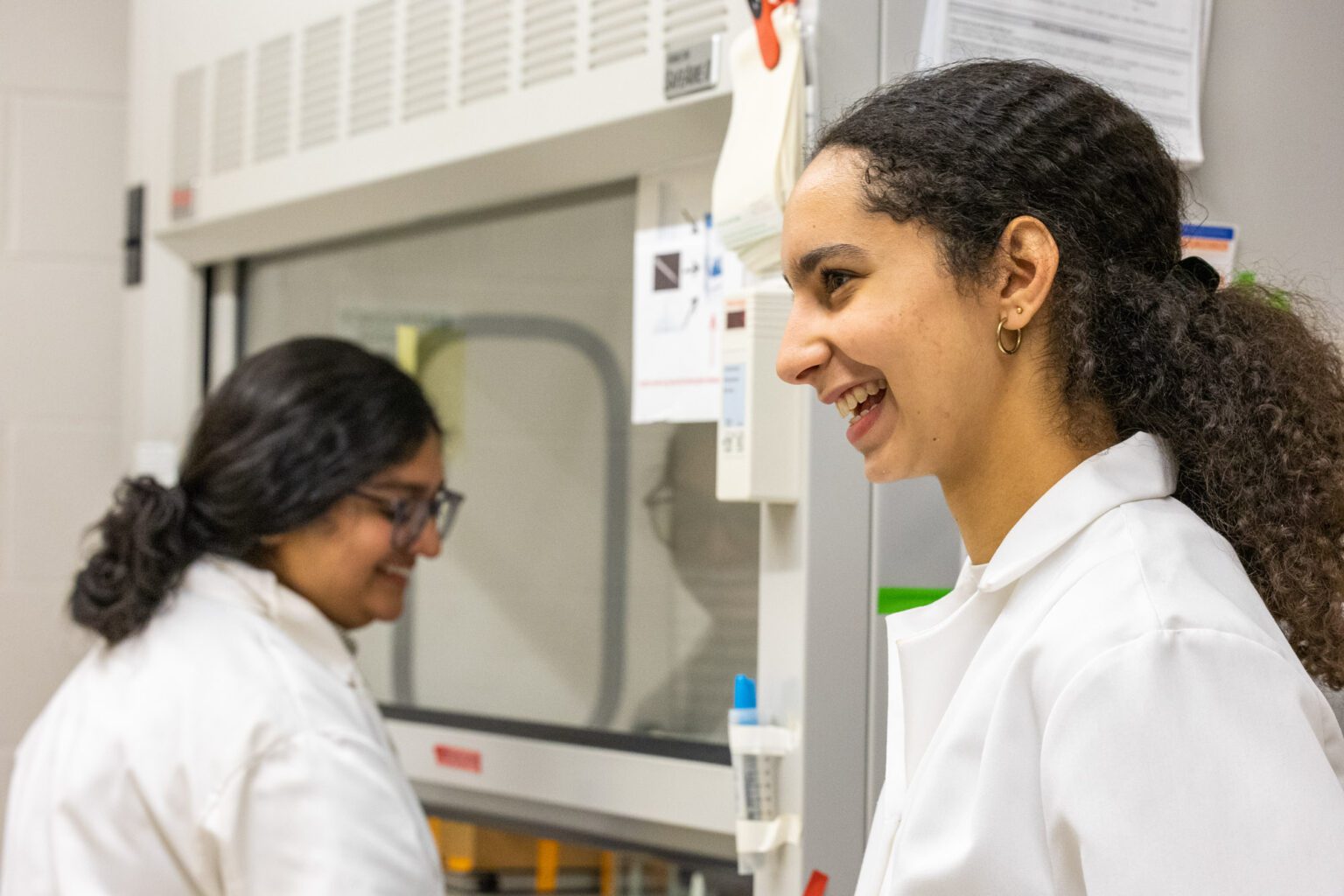 Department of Materials Science and Engineering | Home