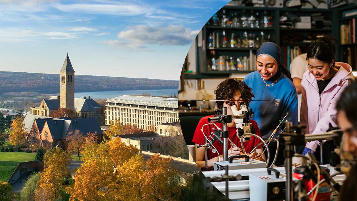 Martyn J. Unsworth | Duffield Engineering